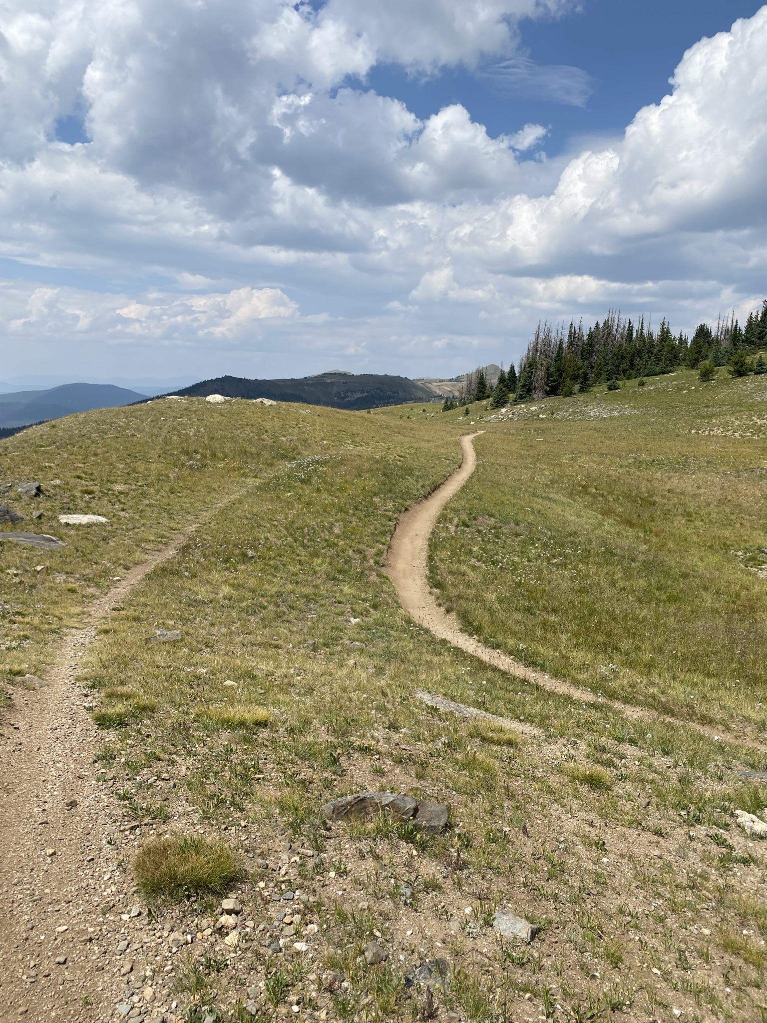 CT Segment 15: Marshall Pass East – Day Hiking the Colorado Trail